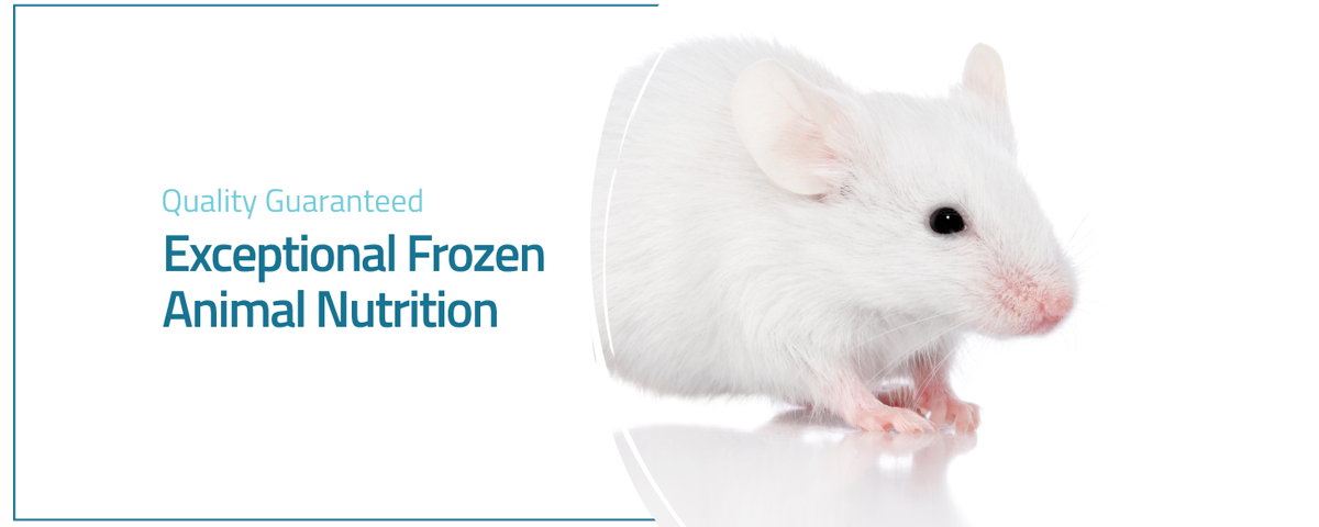 Polar Rodents | Frozen Mice and Rats | Nutrition for Your Pets