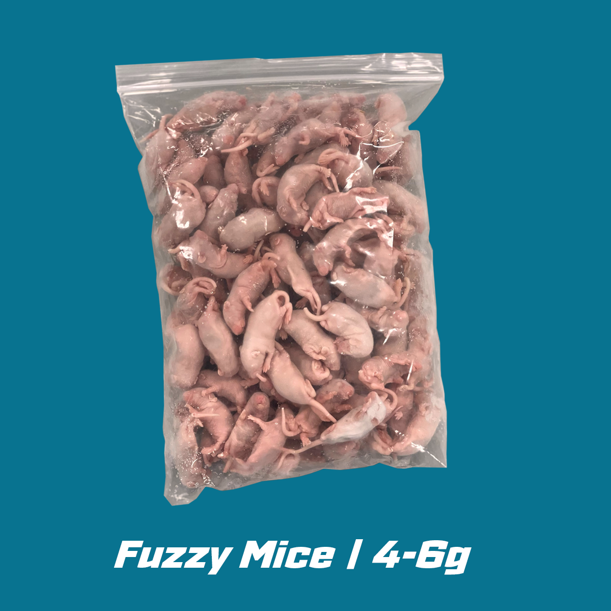 Frozen Mice - Fuzzy | 100 Count – Polar Rodents