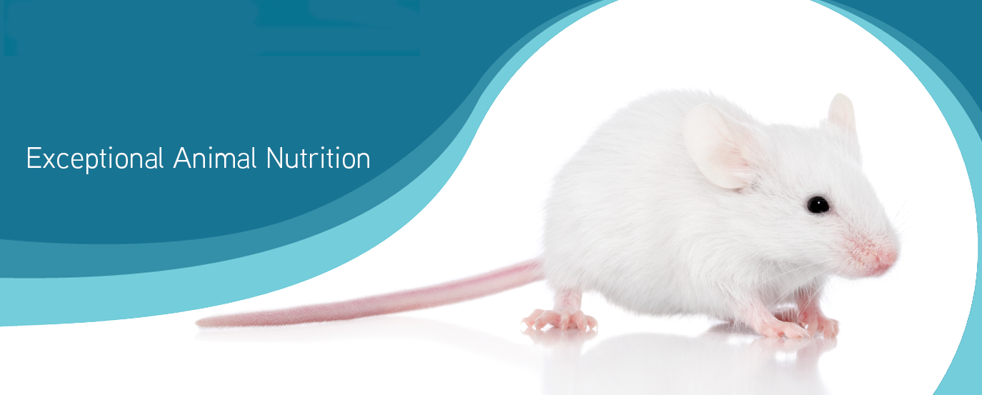 Polar Rodents | Frozen Mice and Rats | Nutrition for Your Pets