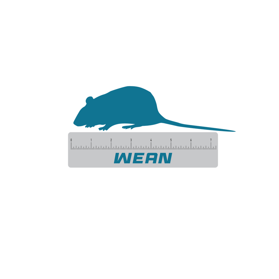 Polar Rodents | Frozen Mice and Rats | Nutrition for Your Pets